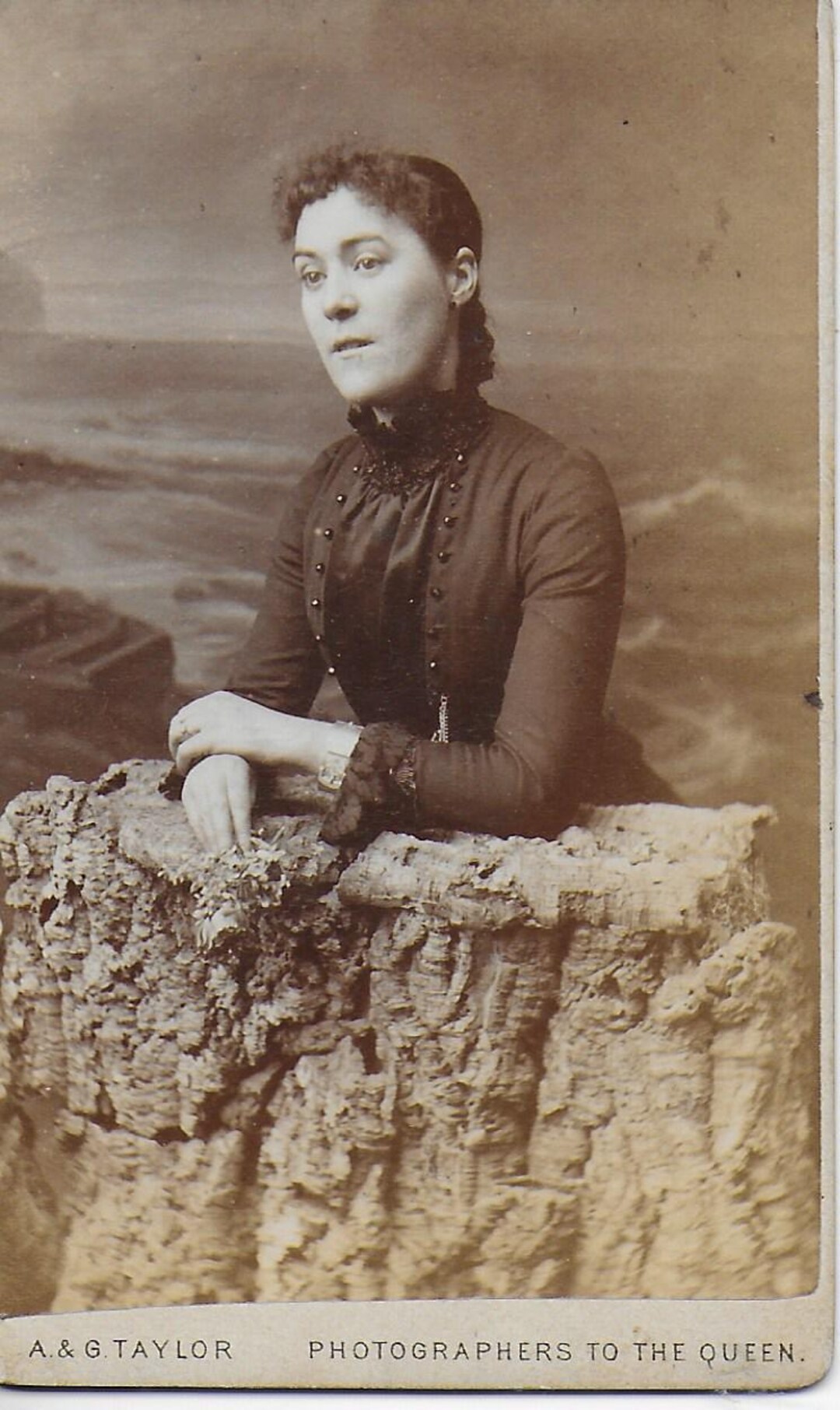 Victorian CDV, Victorian Photo, Portrait, Young Lady, Leaning Over Tree ...