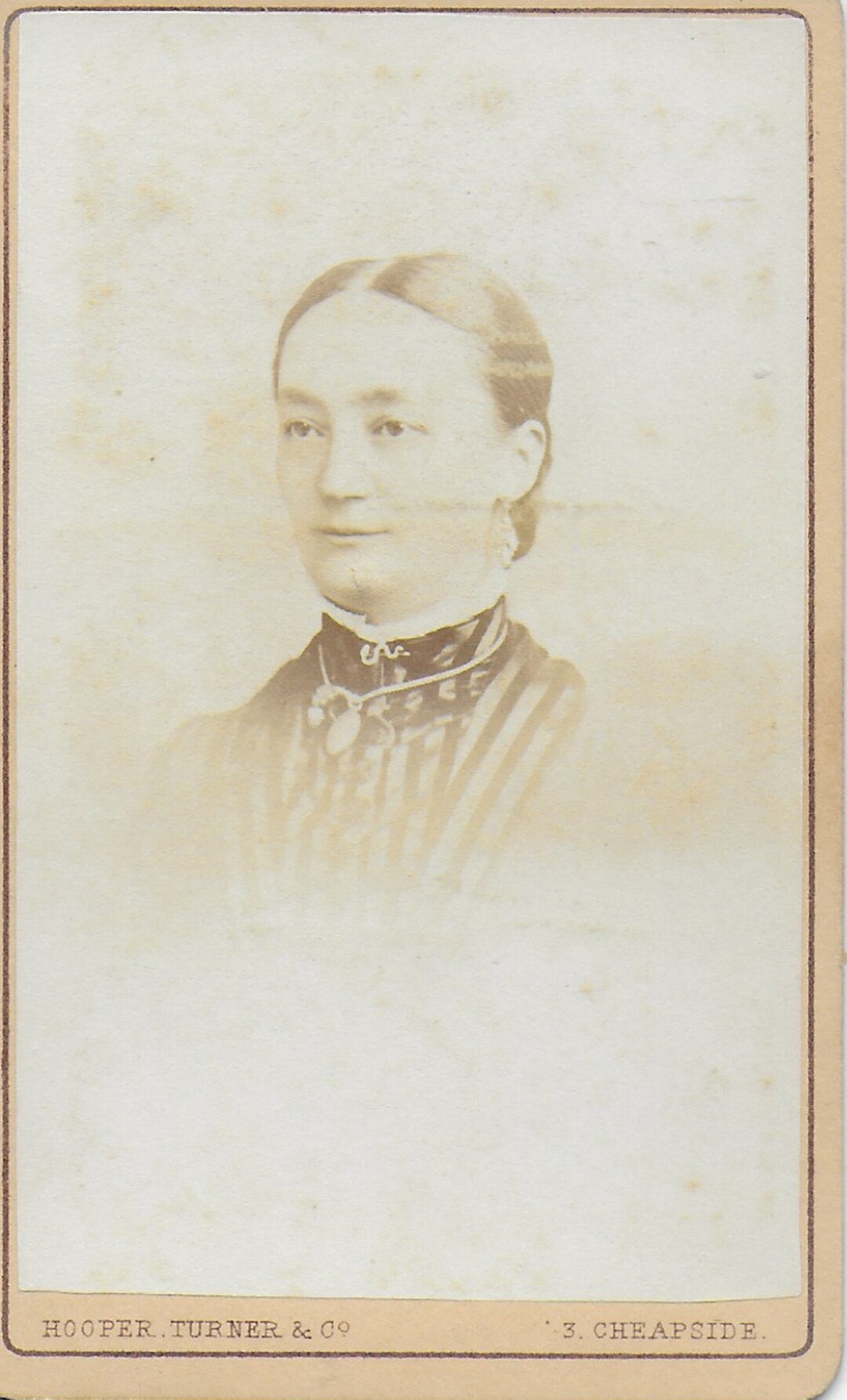 Victorian CDV, Vintage Photo, Lady, Dark Dress,stripes, Hooper Turner ...