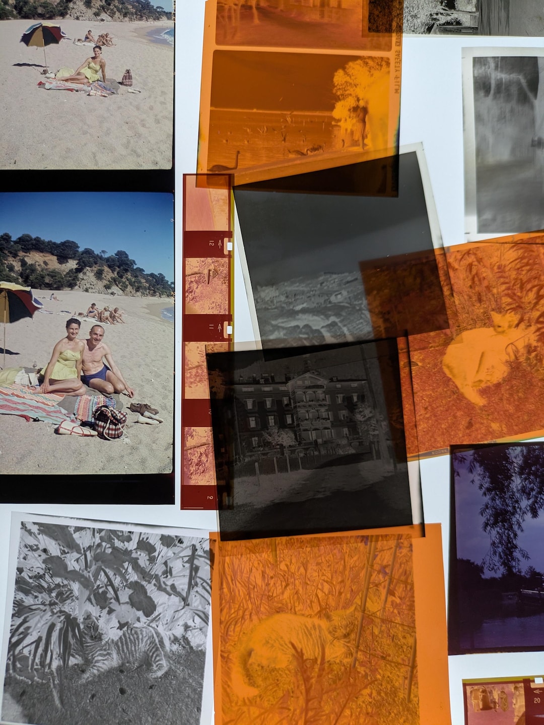 Vintage Negatives Lots Negatives, Ladies, Scenery,snapshots ...