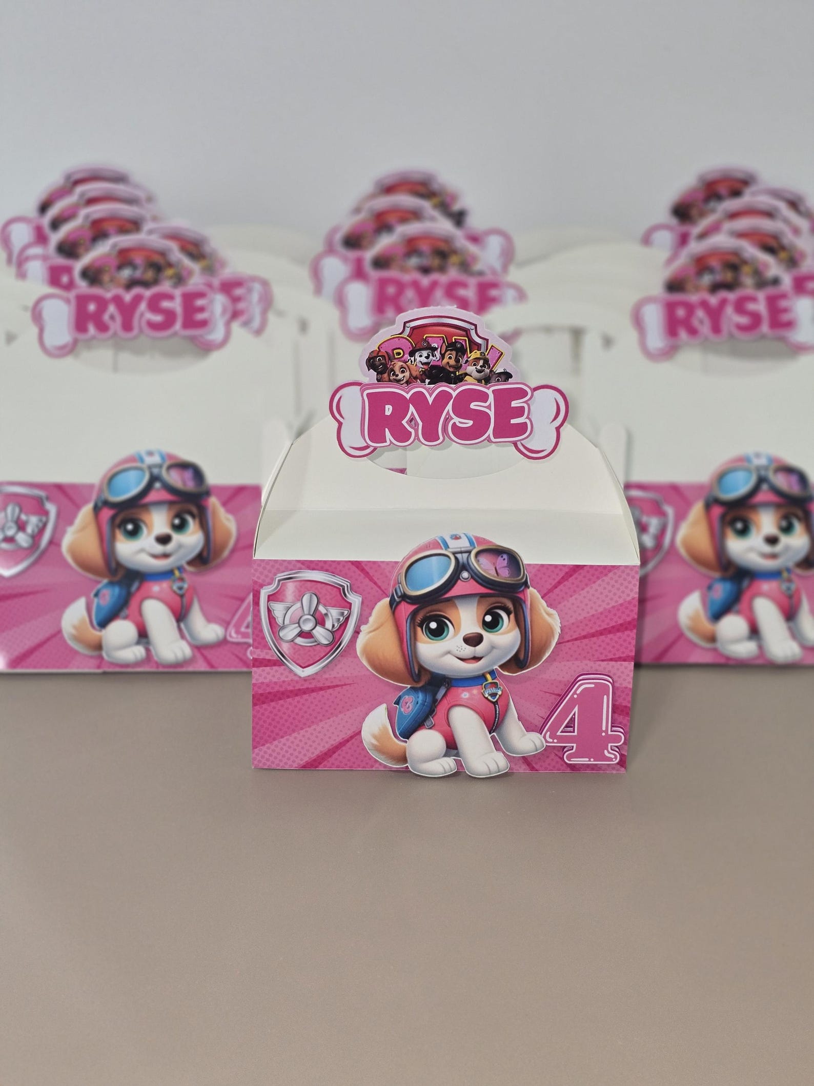 Skye Pow Patrol Skye Favor Party, Pow Patrol Gable Box 3D Candy Box ...