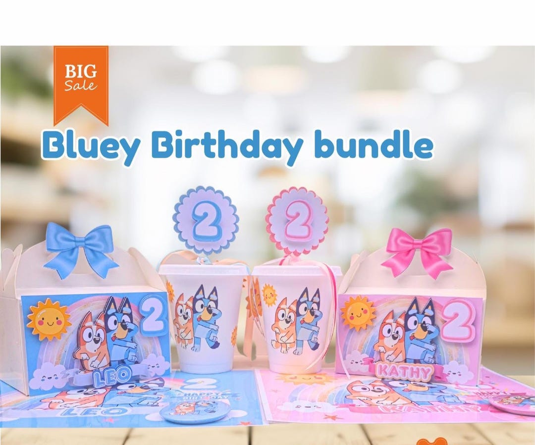 Bluey Birthday Party Favor Boxes: Handmade Packaging Set - Etsy