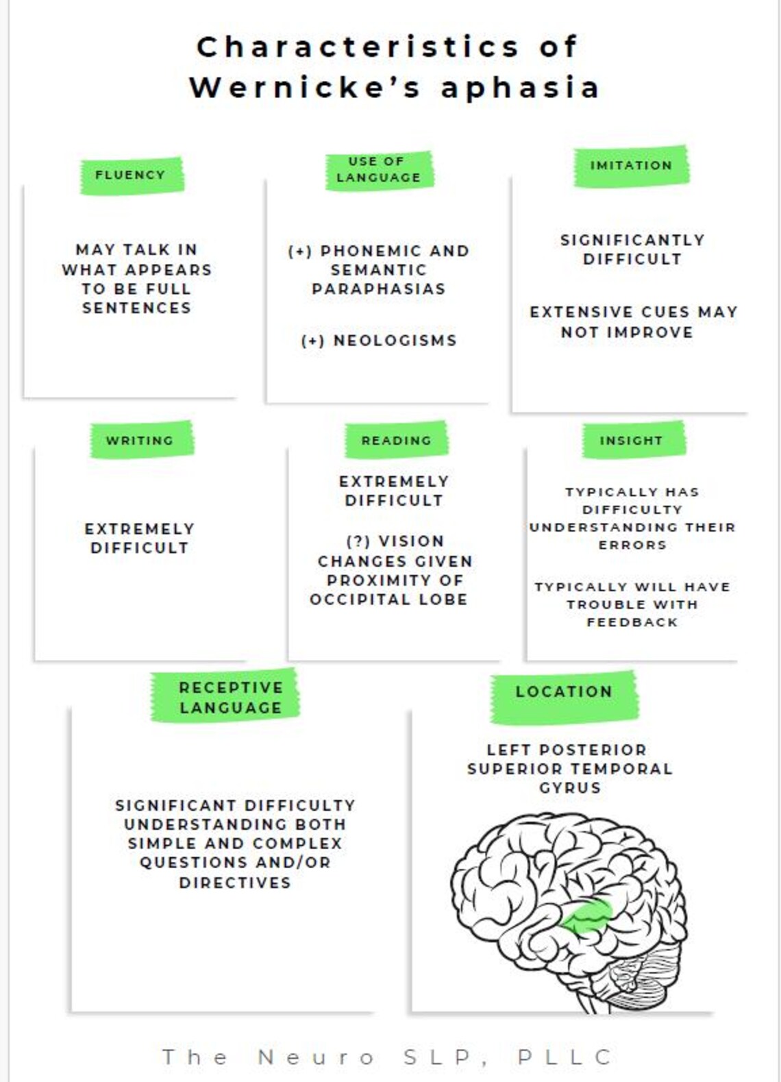 Aphasia Study Guide - Etsy
