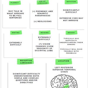 Aphasia Study Guide - Etsy