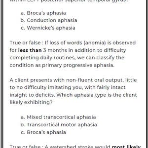 Aphasia Study Guide - Etsy