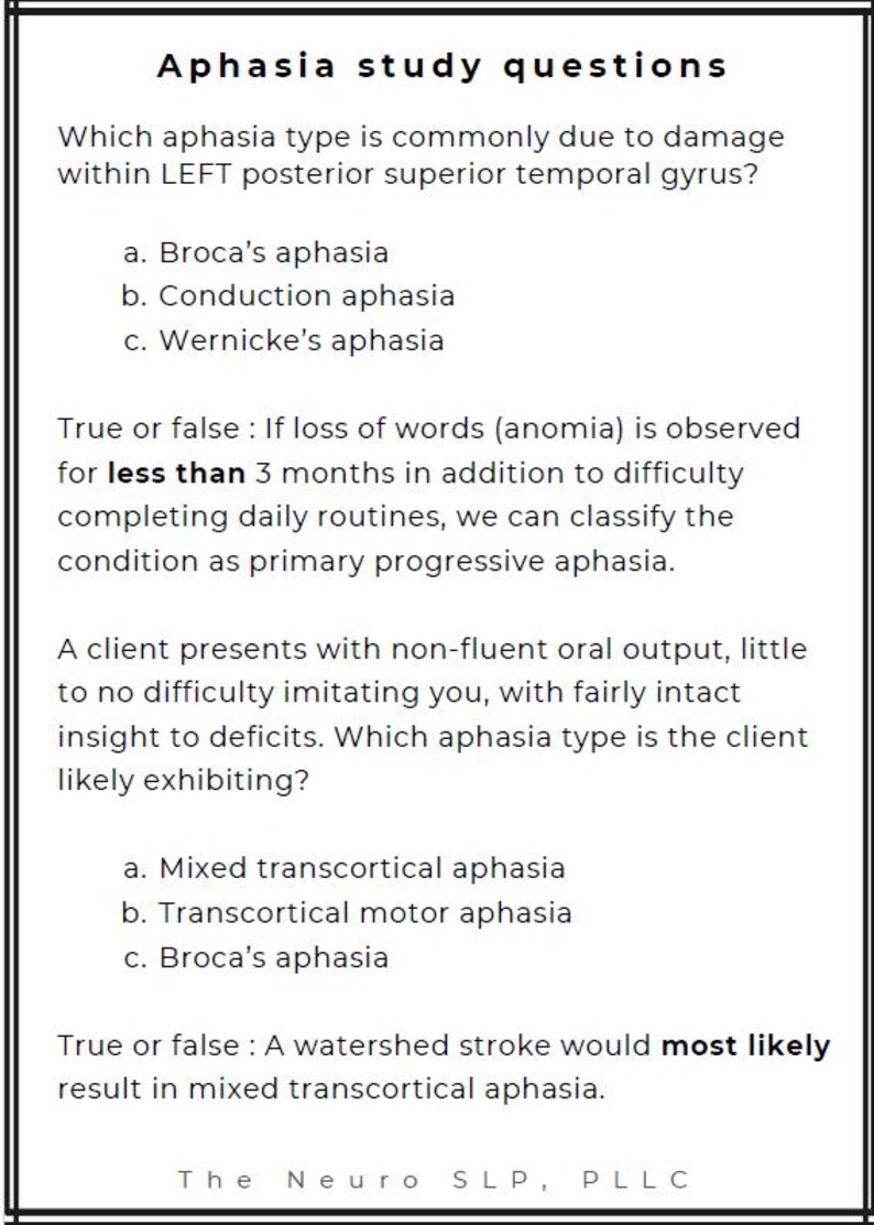 Aphasia Study Guide - Etsy