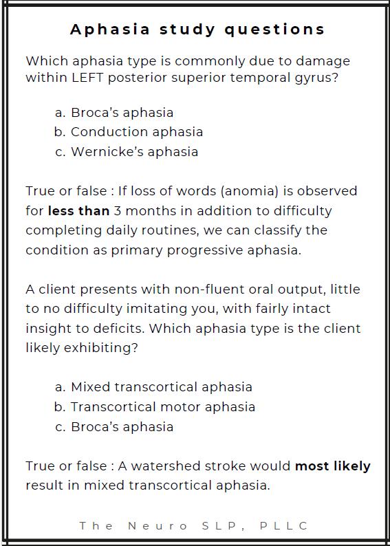 Aphasia Study Guide - Etsy