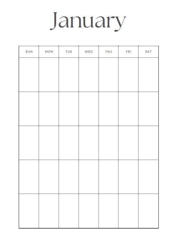 Editable Caseload Organization Binder: Client Management (digital ...