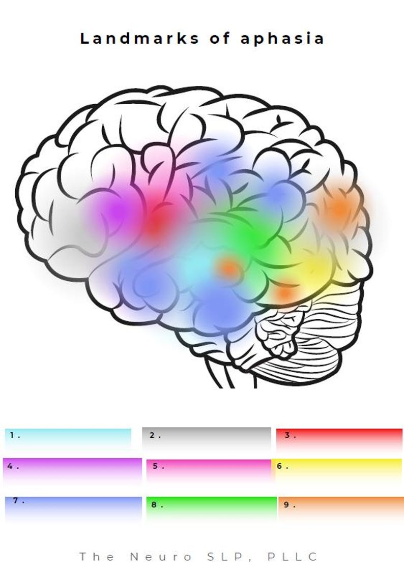 Aphasia Study Guide - Etsy