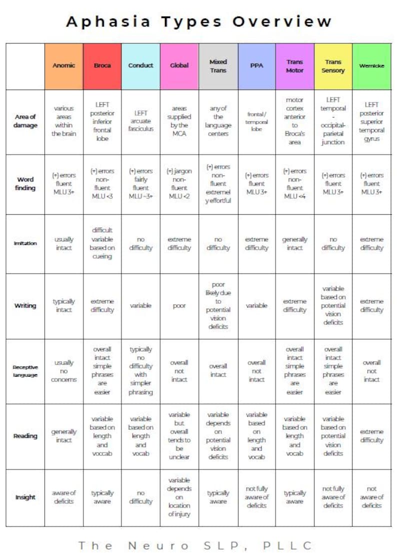 Aphasia Study Guide - Etsy