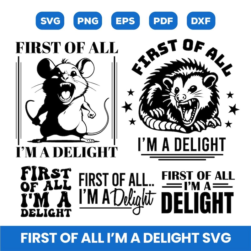 Funny Raccoon Possum Svg - Etsy