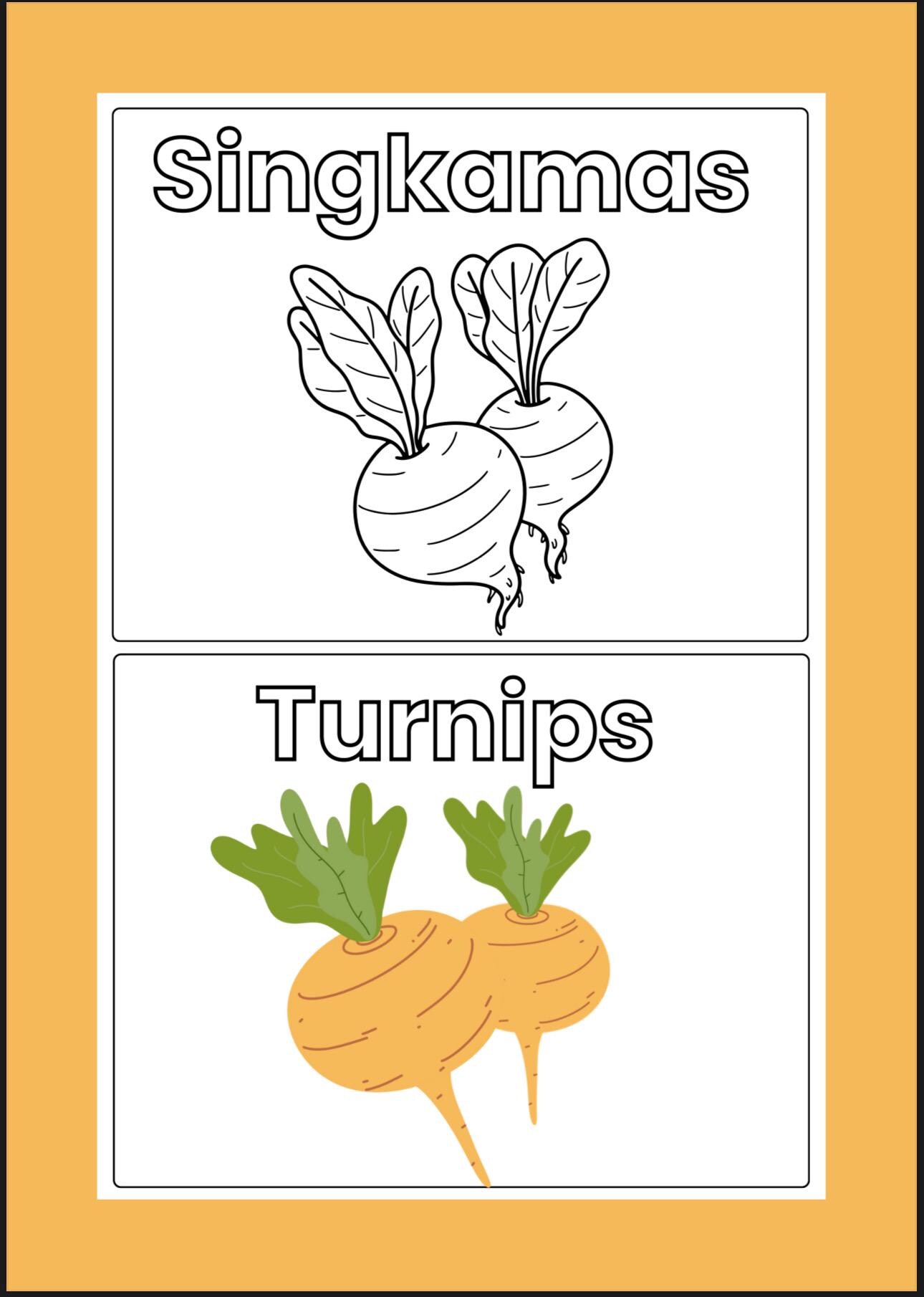 Bahay Kubo - Easy Vegetables Coloring Book (with Tagalog - English) - Etsy