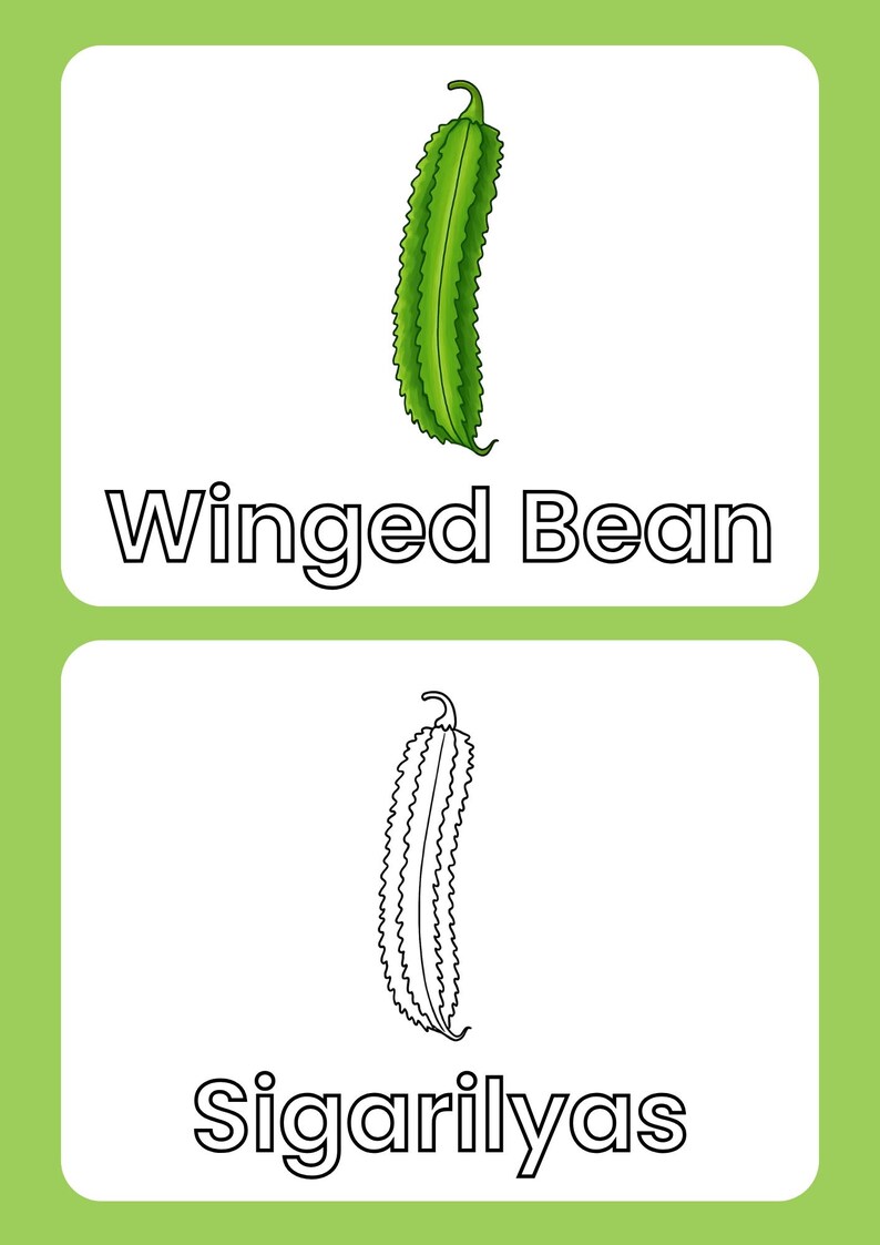 Bahay Kubo - Easy Vegetables Coloring Book (with Tagalog - English ...