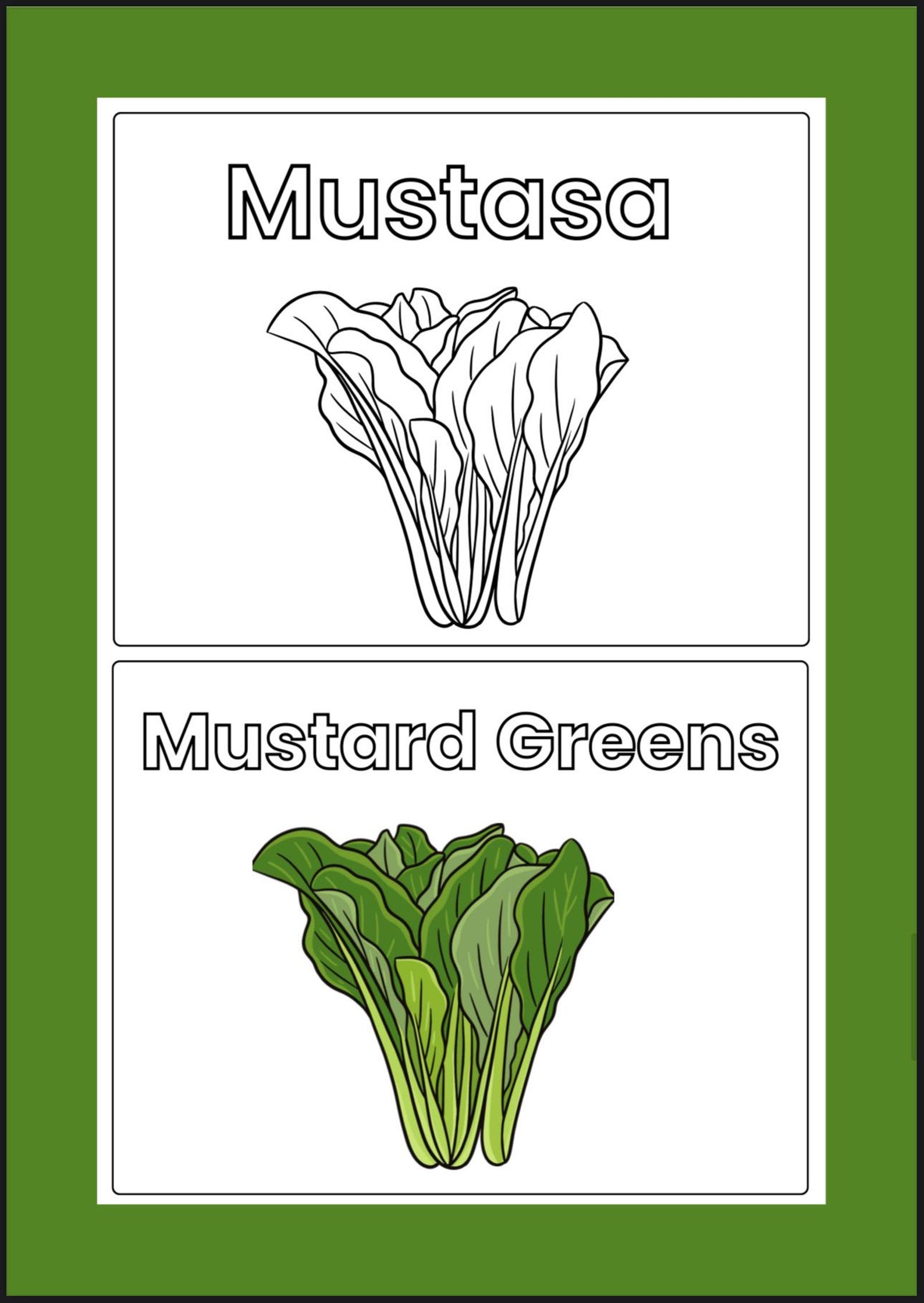 Bahay Kubo - Easy Vegetables Coloring Book (with Tagalog - English) - Etsy