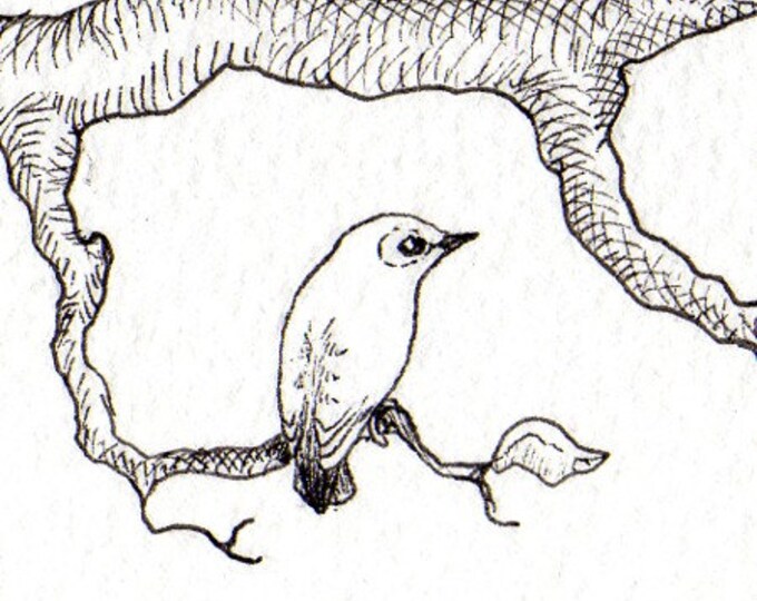 Little Birds Original Pen and Ink Drawing 6x4 - Etsy