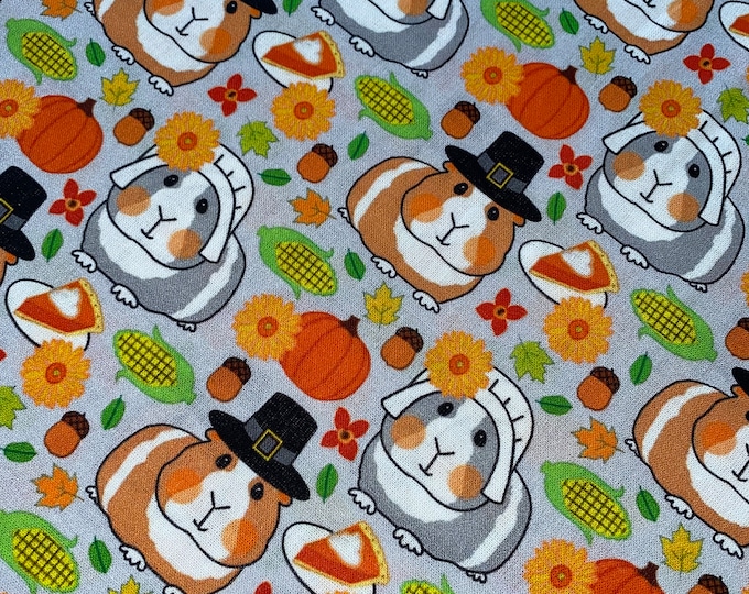 Fat Quarter 100% Cotton GUINEA PIG Fabric 18"x22" Thanksgiving Pilgrim ...