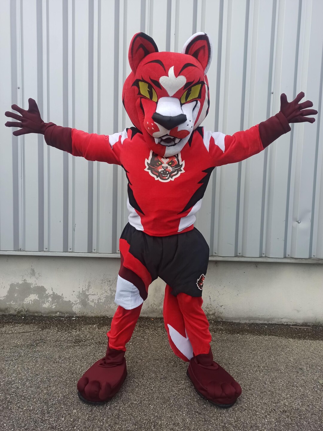 Custom Tiger Mascot – High-quality and Comfortable Costume! | Mascotte Tigre Sur Mesure ...