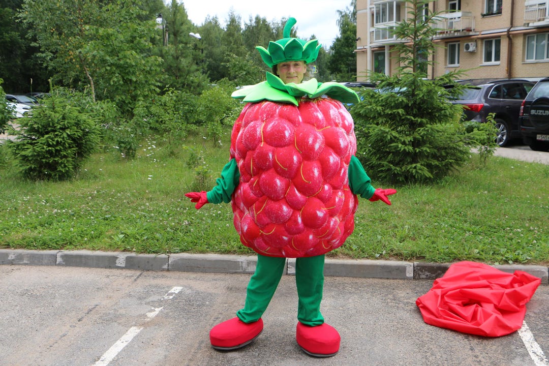 Custom 3D Raspberry Mascot – High-quality and Comfortable Costume ...