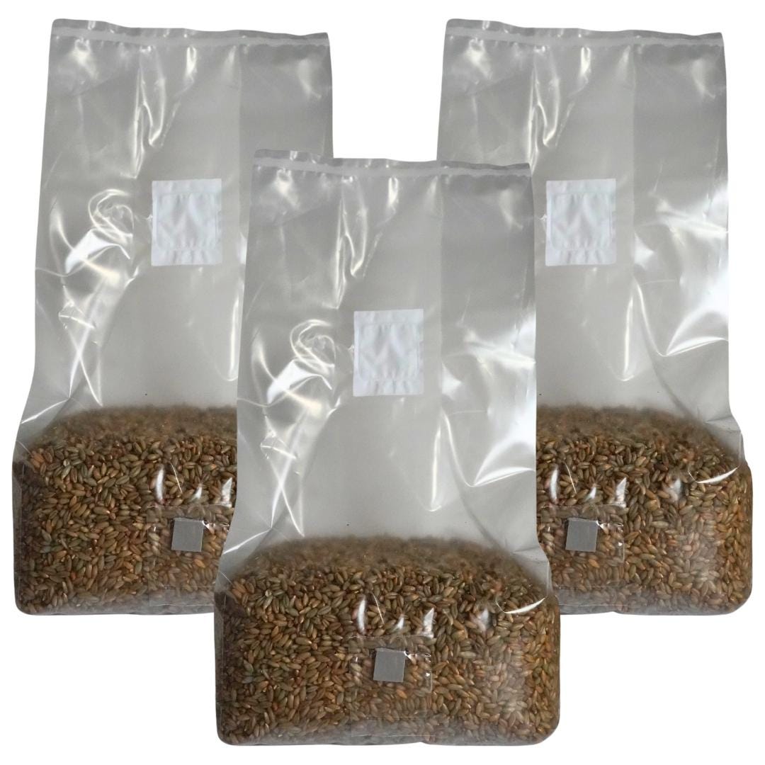 3 Pack 5# Sterile Mushroom Grain Spawn Bags - Etsy