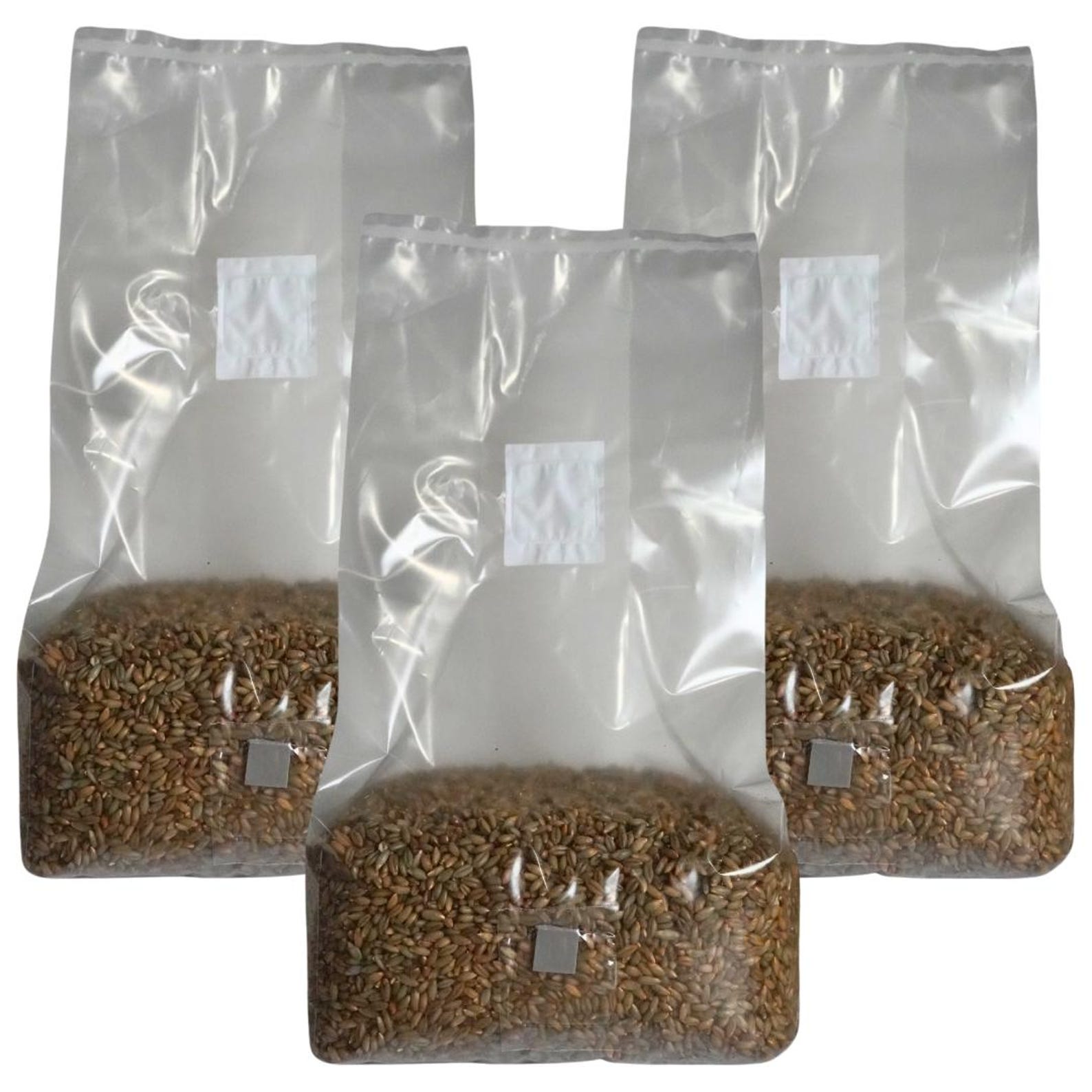 3 Pack 5# Sterile Mushroom Grain Spawn Bags - Etsy