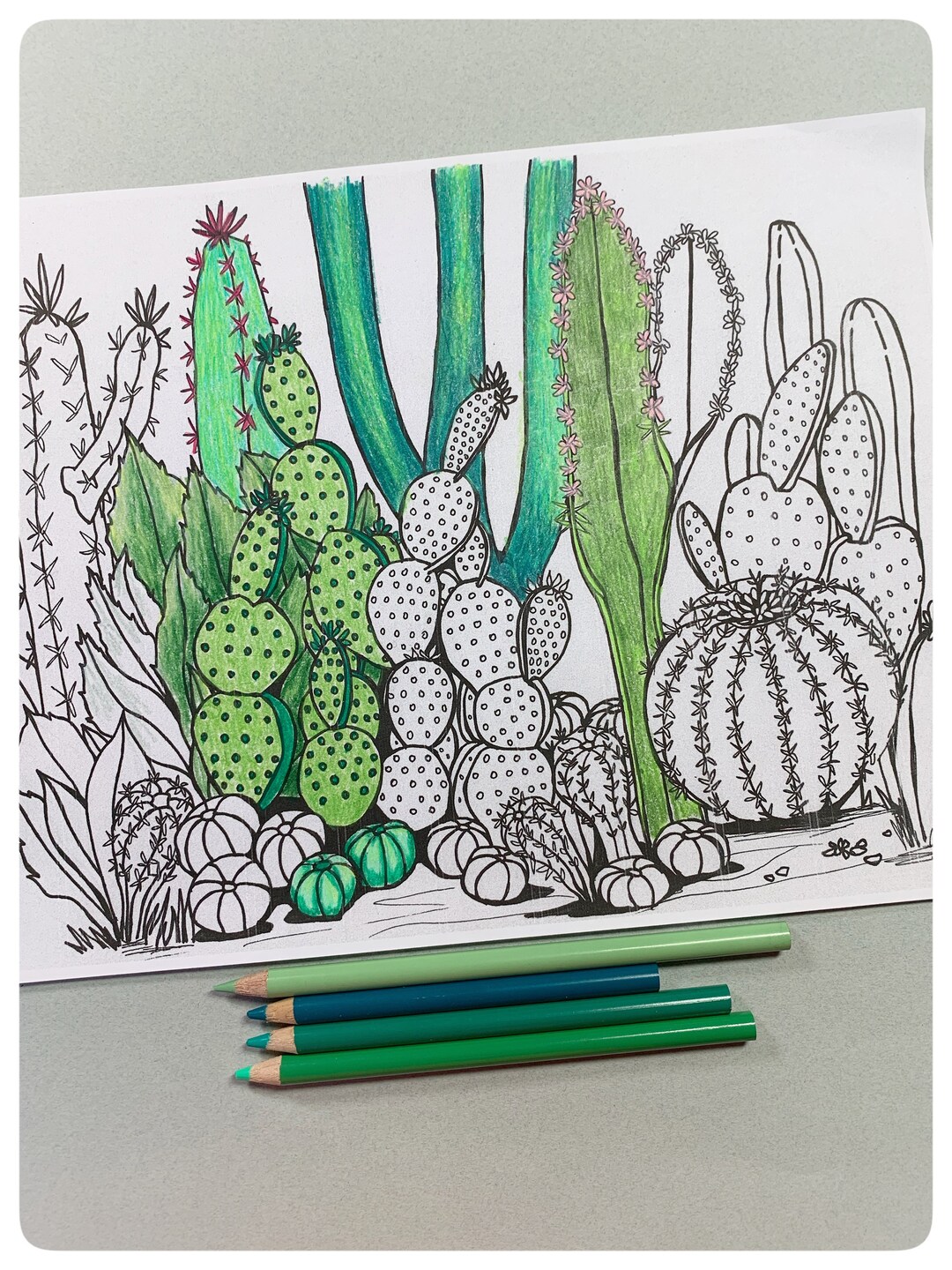 American Southwest Desert Cactus Printable Coloring Page, Succulents ...