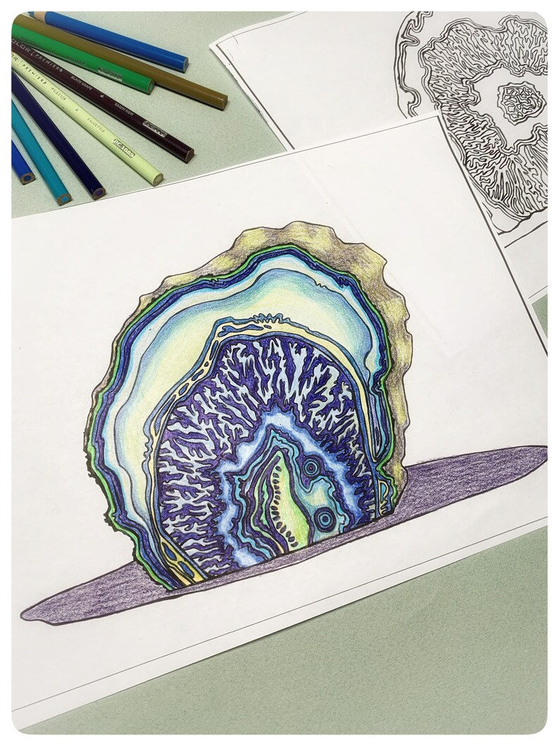 Geodes Adult Coloring, Instant Download Coloring Pages, Two Pack ...