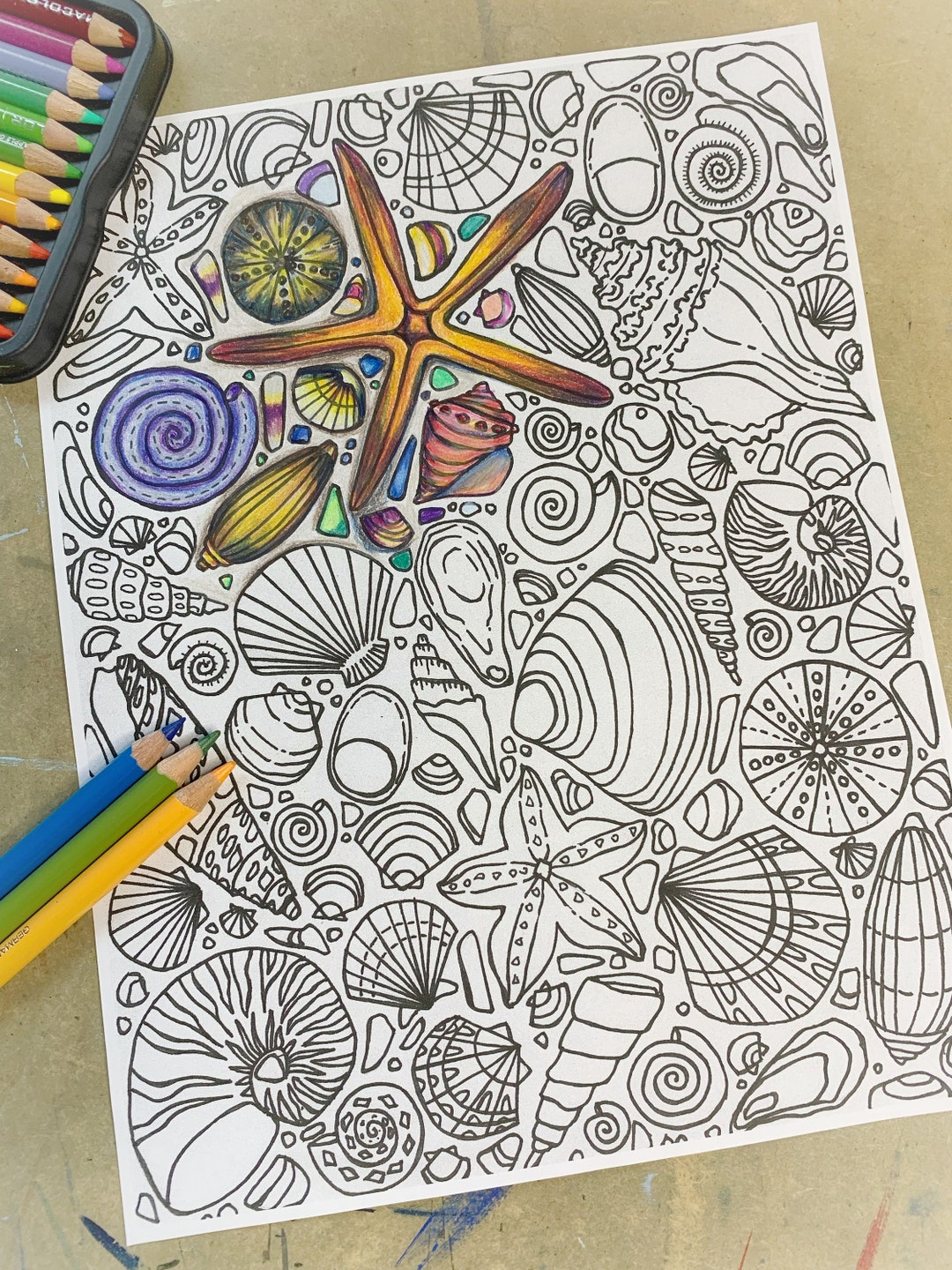 Seashells Printable Coloring Page, Adult Coloring Page, Ocean Beach ...