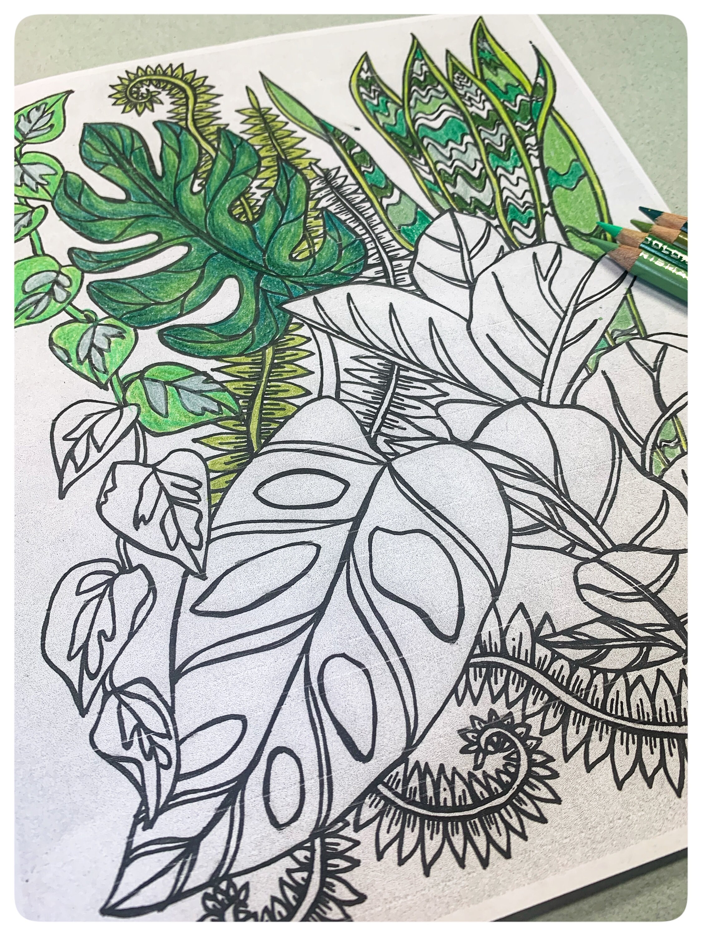 Tropical Foliage Printable Coloring Page, Leafy Plants Coloring Design ...