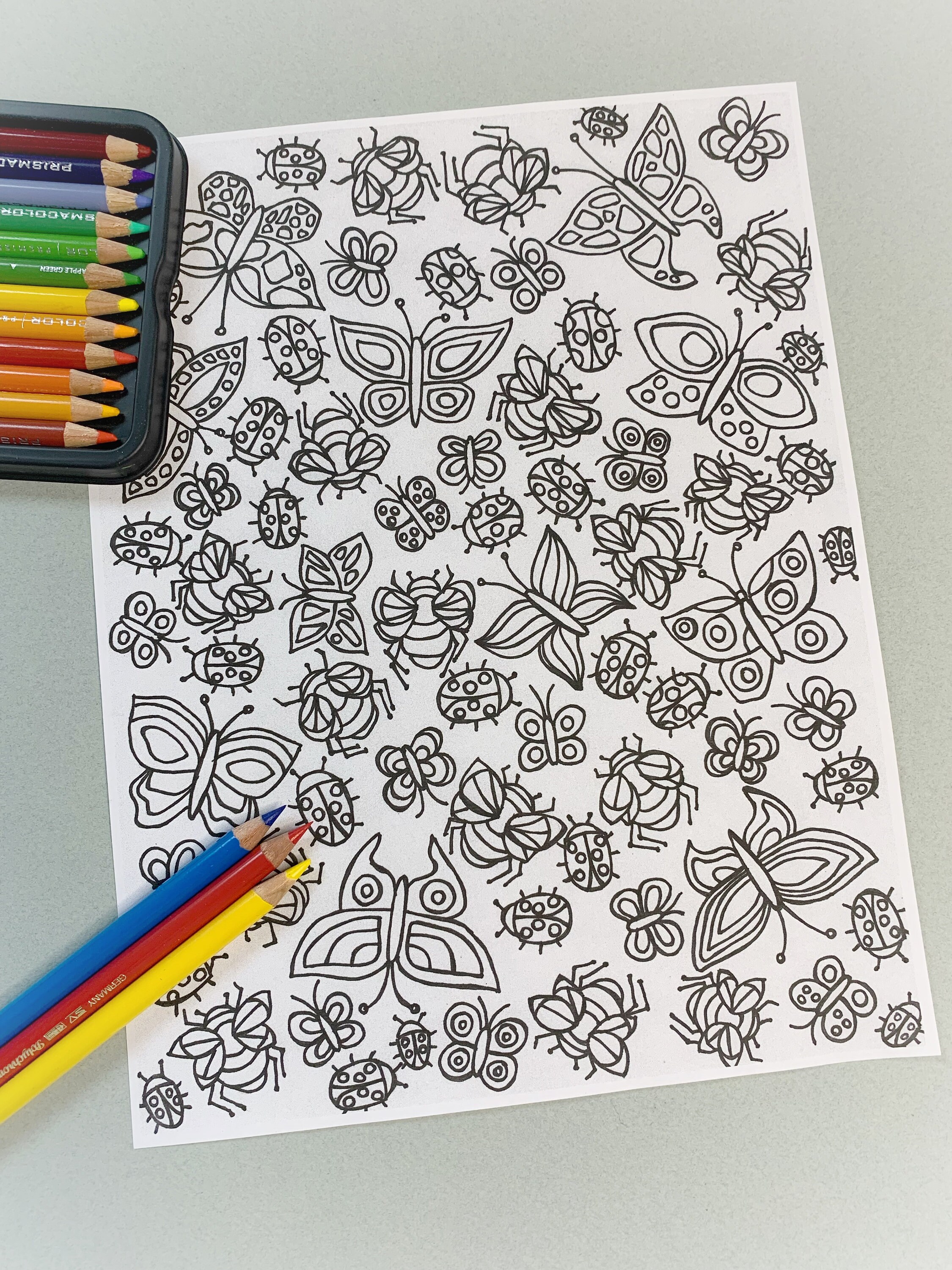 Bugs Bees Printable Coloring Page, Adult Coloring Page, Small Bugs and ...