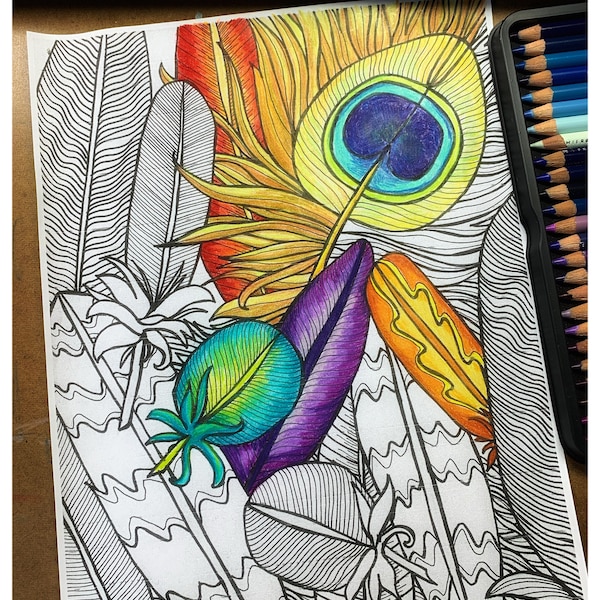 Feather Coloring - Etsy