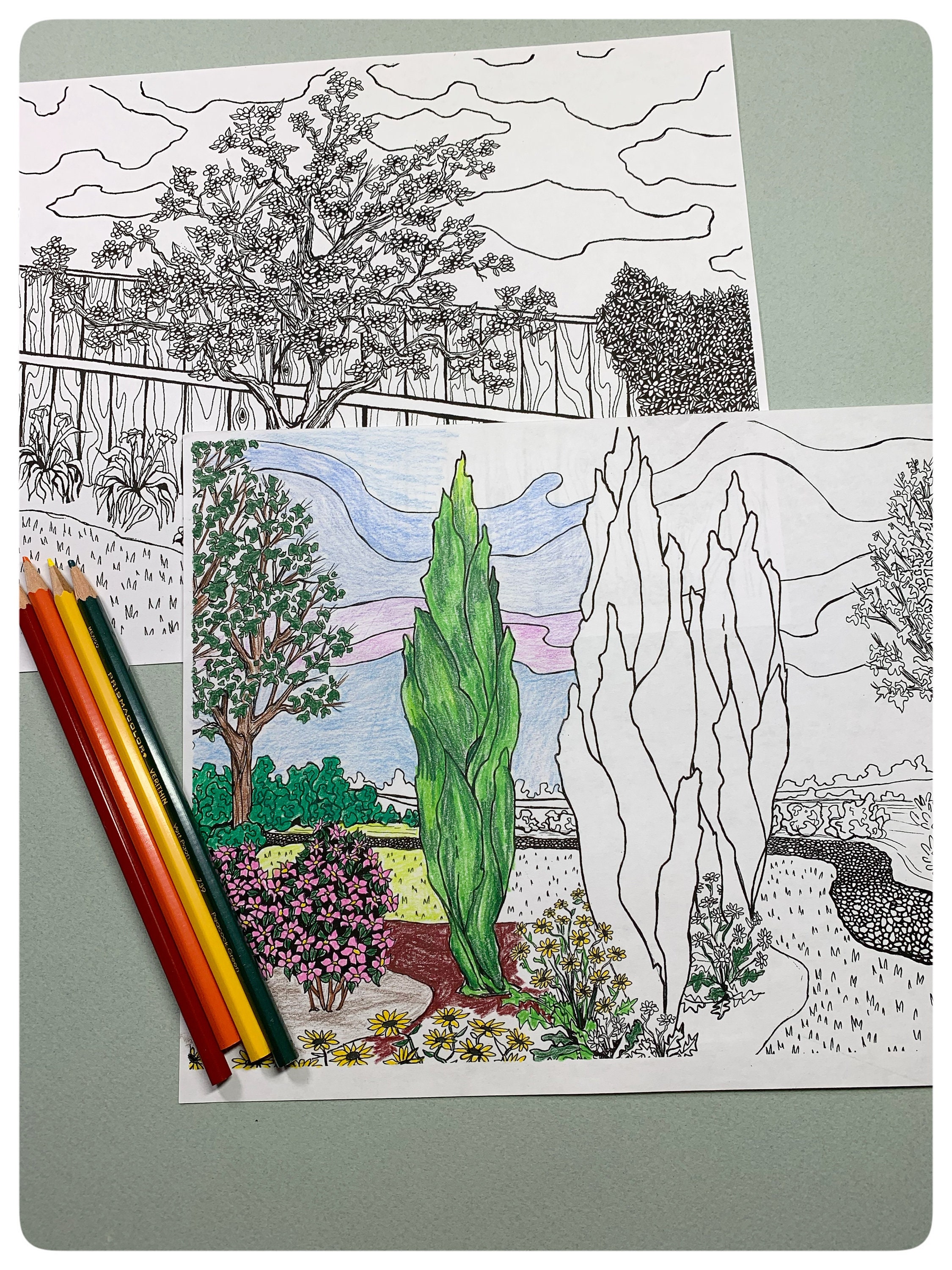 Digital Download Coloring Book,my New Jersey Garden Coloring Book,adult ...