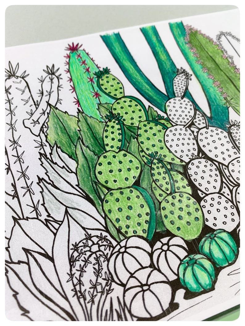 American Southwest Desert Cactus Printable Coloring Page, Succulents ...