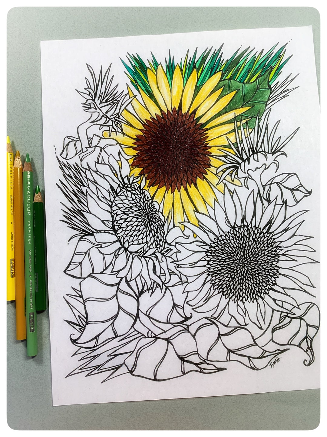 Sunflower Printable Coloring Page, Flower Art, Digital Download ...