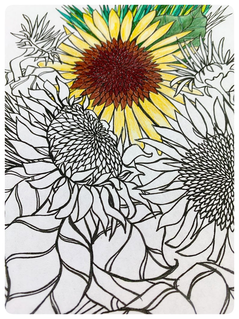 Sunflower Printable Coloring Page Flower Art Digital - Etsy