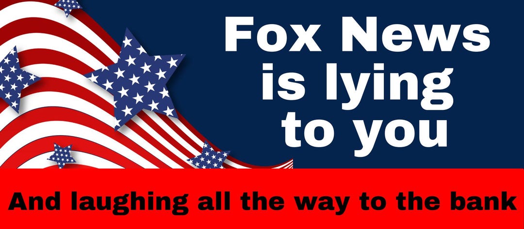 Funny Political Bumper Sticker, Window Decal. - Etsy