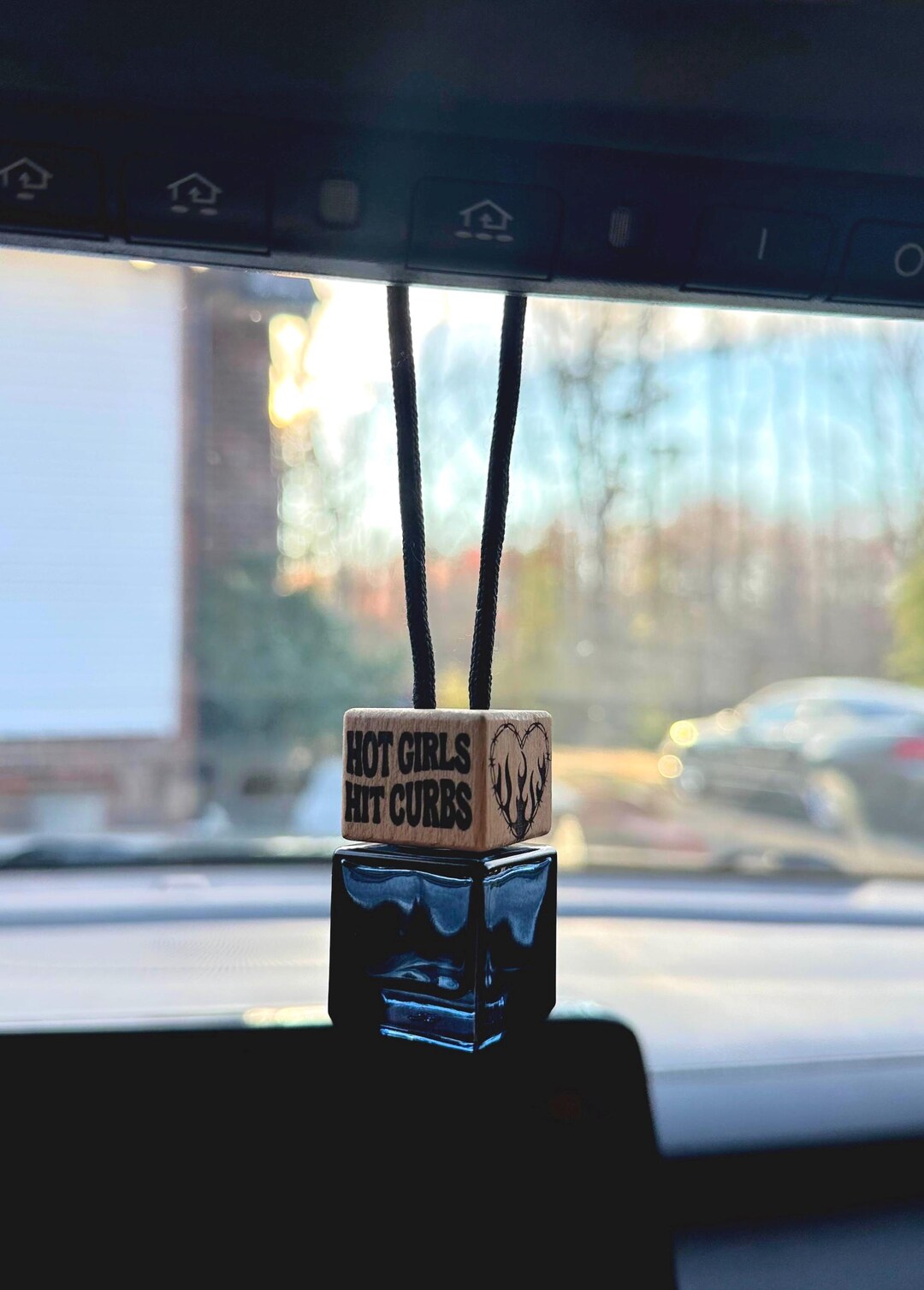 Hot Girls Hit Curbs Car Freshener Hanging Car Diffuser Black Gift for ...