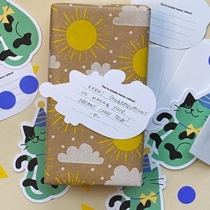 You're Simply Meow-velous Blank Notes (set of 8), Cute Party Cat Design ...