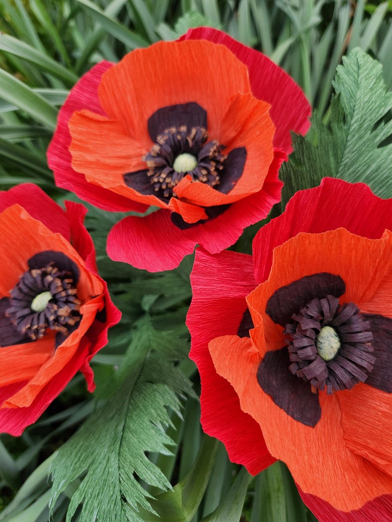 Crepe Paper Flower: Poppies - Etsy