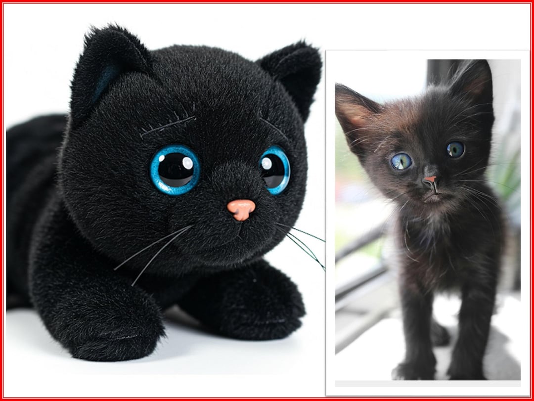 Cute Beginner Stuffed Cat Plush Sewing Pattern PDF + Video - Etsy