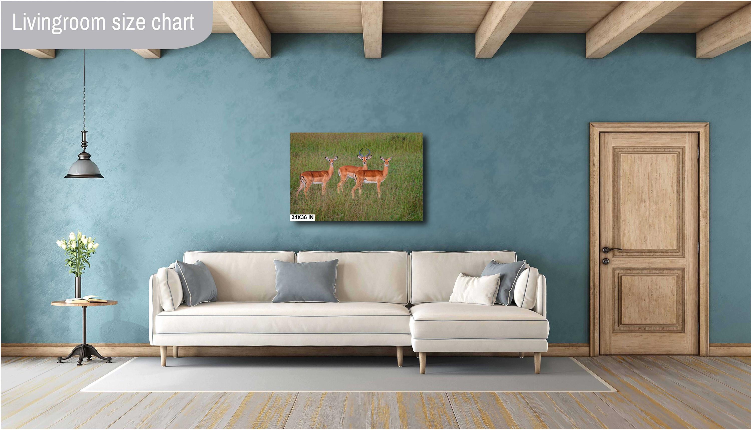 Serengeti Impala Antelope Photo Print: African Safari Wildlife - Etsy