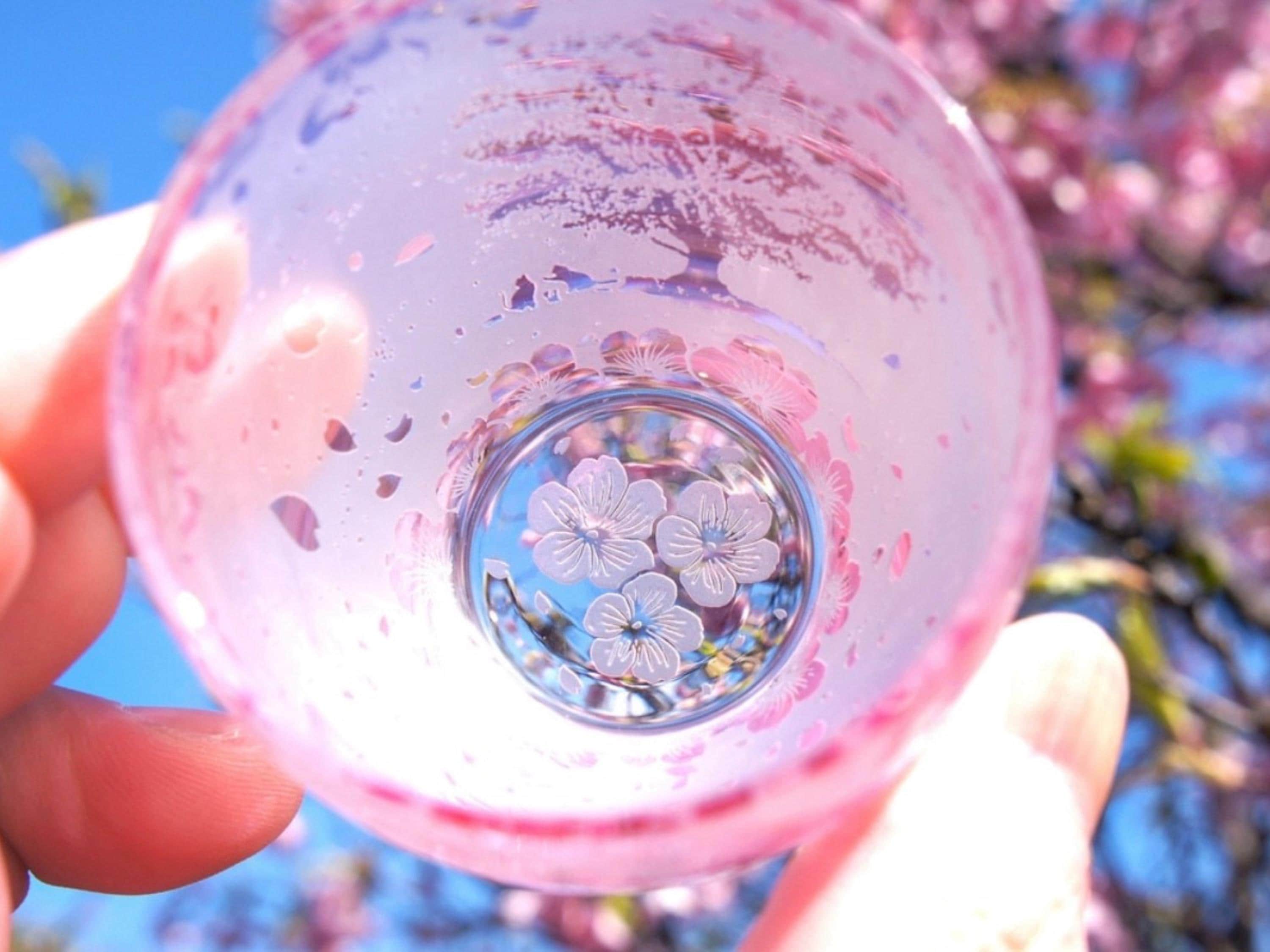 Japanese Handmade Cherry Blossom Cat Sake Cup – Handmade Soap Glass ...