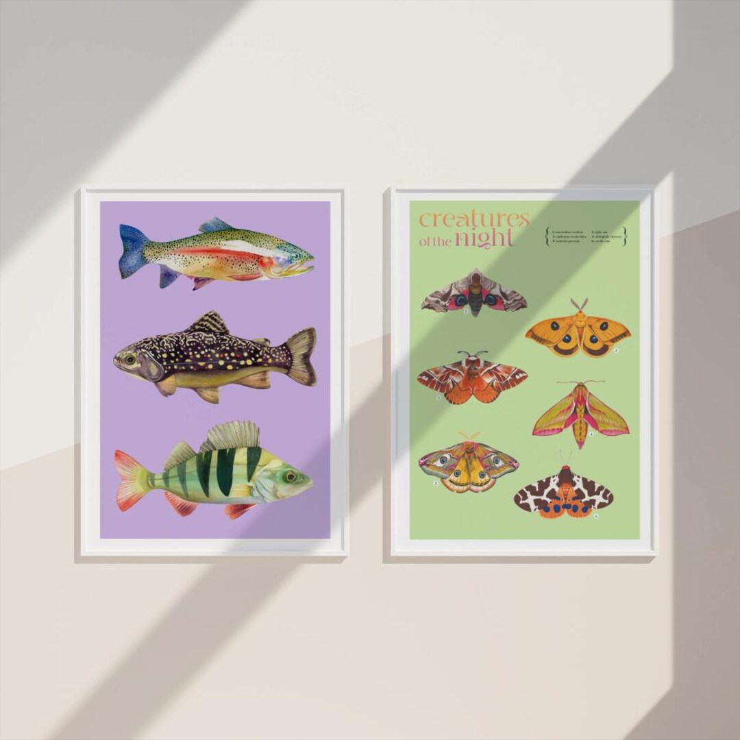 Poster Set A3 Fish Moths Sustainable Posters With Hand-painted ...