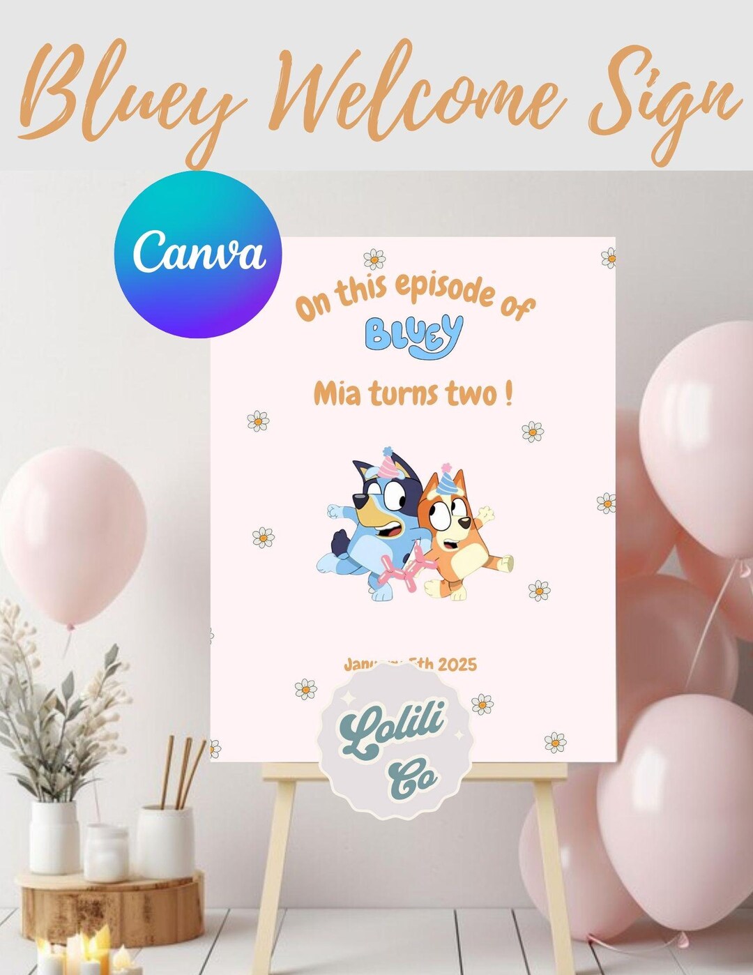 Bluey Birthday Welcome Sign: Pink Girly Party Decor (PDF) - Etsy UK