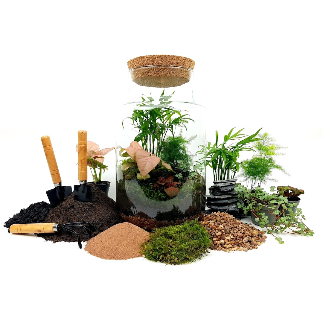 DIY Terrarium Kit Large Bottle | Complete Tropical Glass Terrarium Kit ...