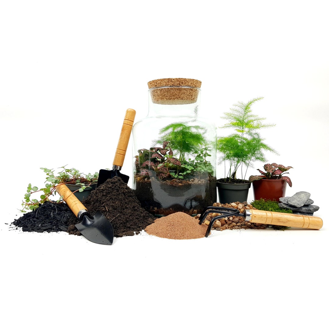 DIY Terrarium Kit Bottle | Complete Tropical Glass Terrarium Kit ...