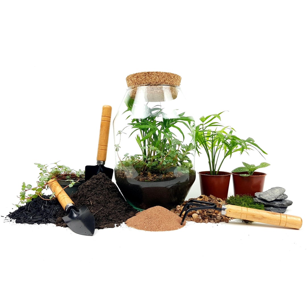 DIY Terrarium Kit Geometric | Complete Tropical Glass Terrarium Kit ...