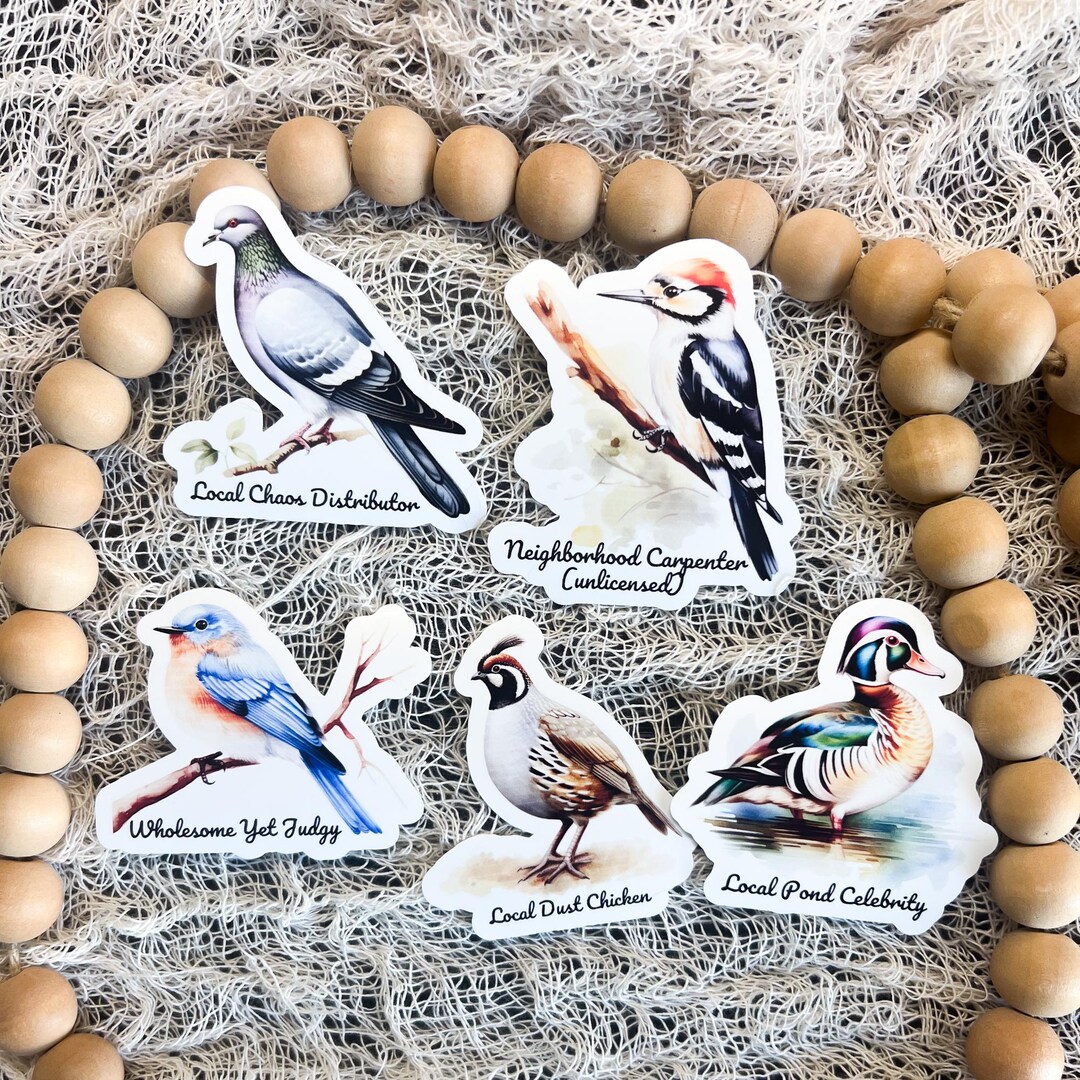 Funny Bird Sticker 6 Pack - Bird Lover Stickers - Nature Stickers ...
