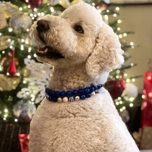 Custom Beaded Dog Collar – Personalized Pet Collar With Acrylic or ...