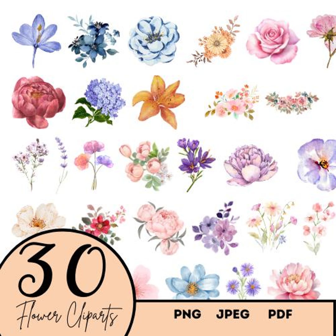 Watercolor Flower Clipart Bundle – Png, Jpeg and Pdf – Digital Floral ...