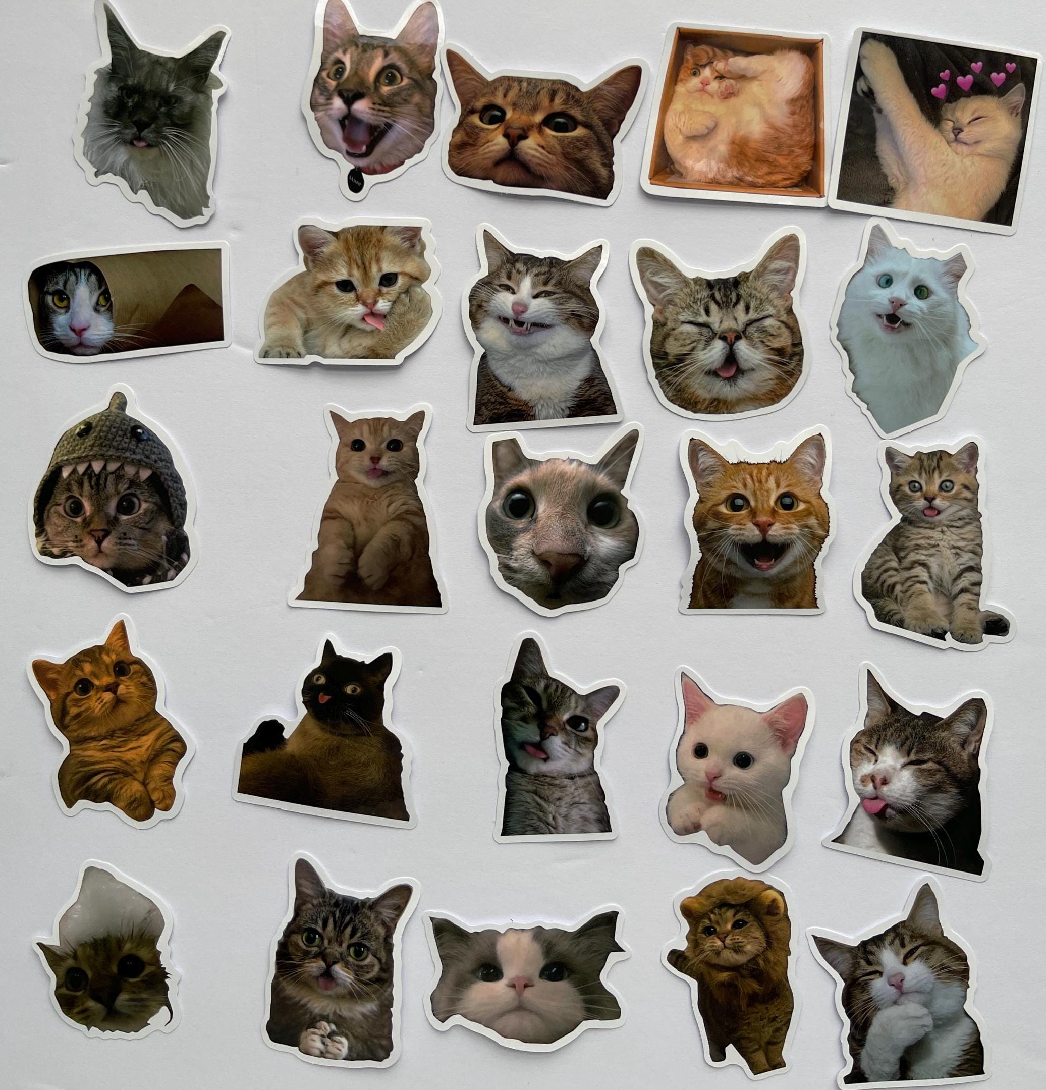Cats Stickers,vinyl Stickers,10-50 Pcs Random Pack, FREE Shipping ...