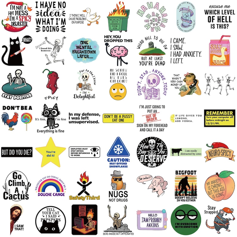 Snarky MEME Stickers,vinyl Stickers,10-50 Pcs Random Pack, FREE ...